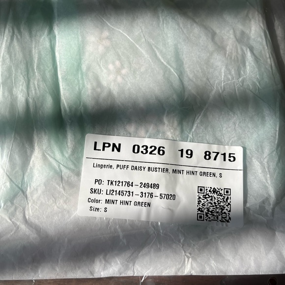Savage X Fenty | Intimates & Sleepwear | Savage X Fenty Mint Hint Green ...
